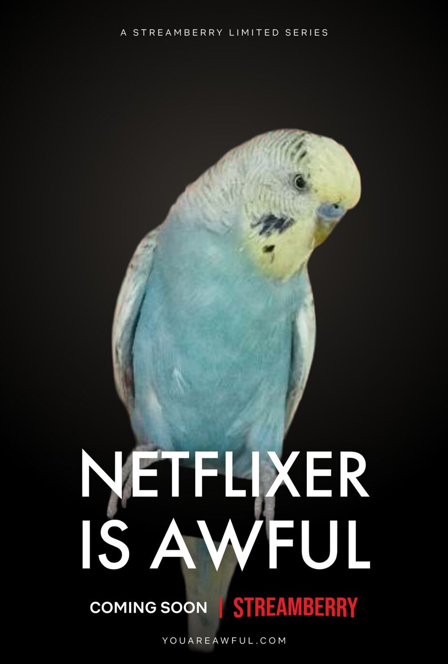 Staňte se hvězdou vlastního seriálu, ale pozor na podmínky užívání ...