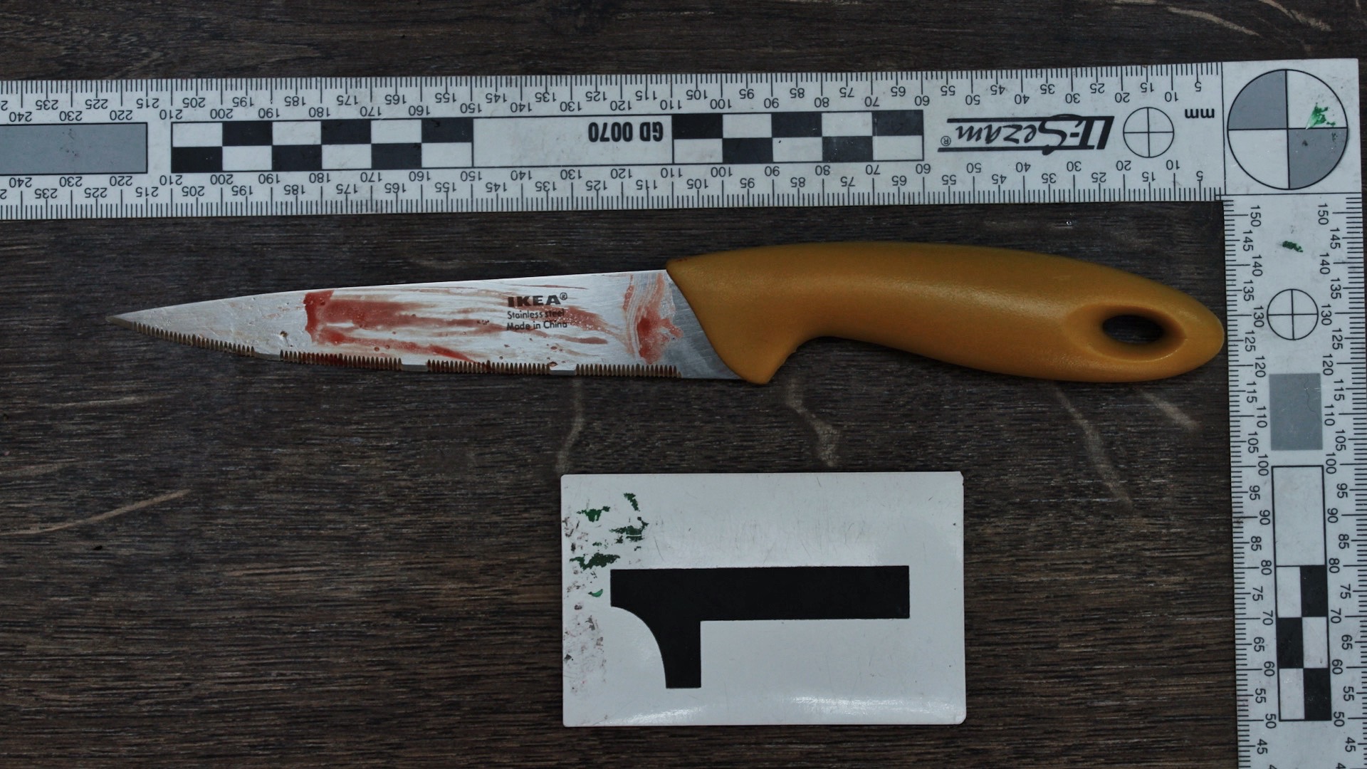 Aneta, jeden z nejkontroverznějších kriminálních případů v Česku míří ...