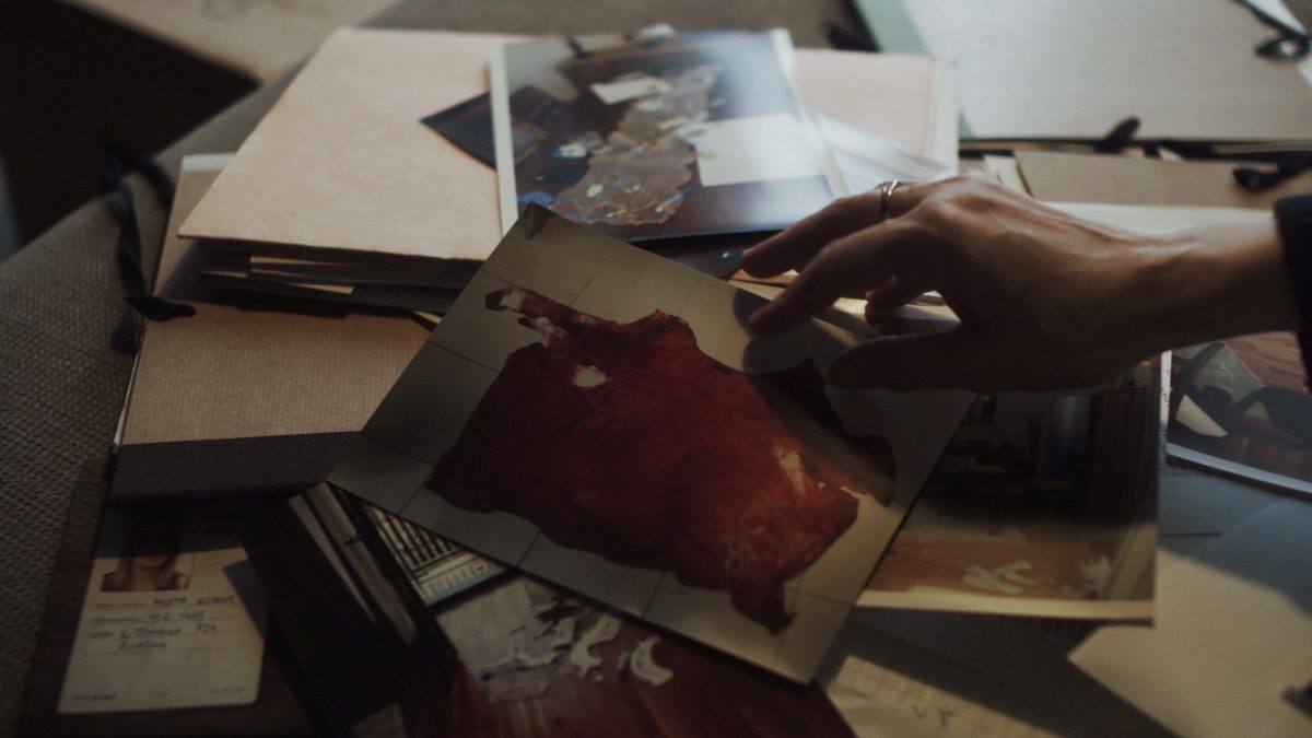 Aneta, jeden z nejkontroverznějších kriminálních případů v Česku míří ...